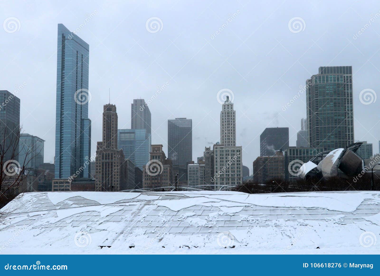 Día Nevado en Chicago foto editorial. Imagen de chicago - 106618276