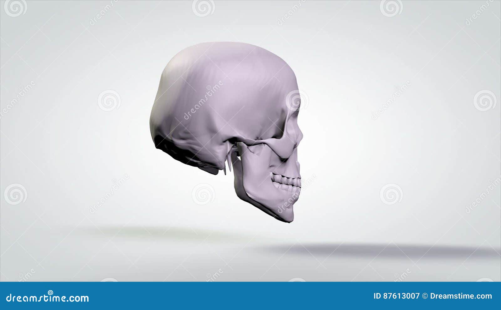 3d Anatomical Model Rotating Human Skull Stock Video - Video of ...
