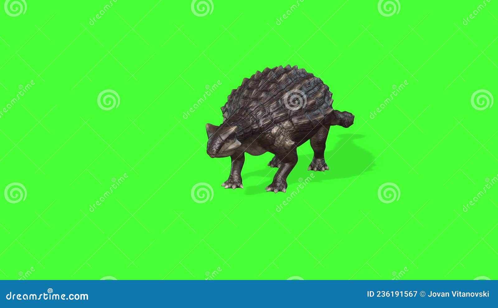 Ankylosaurus Dinosaurs on Green Screen ,chroma Key Stock Video - Video ...