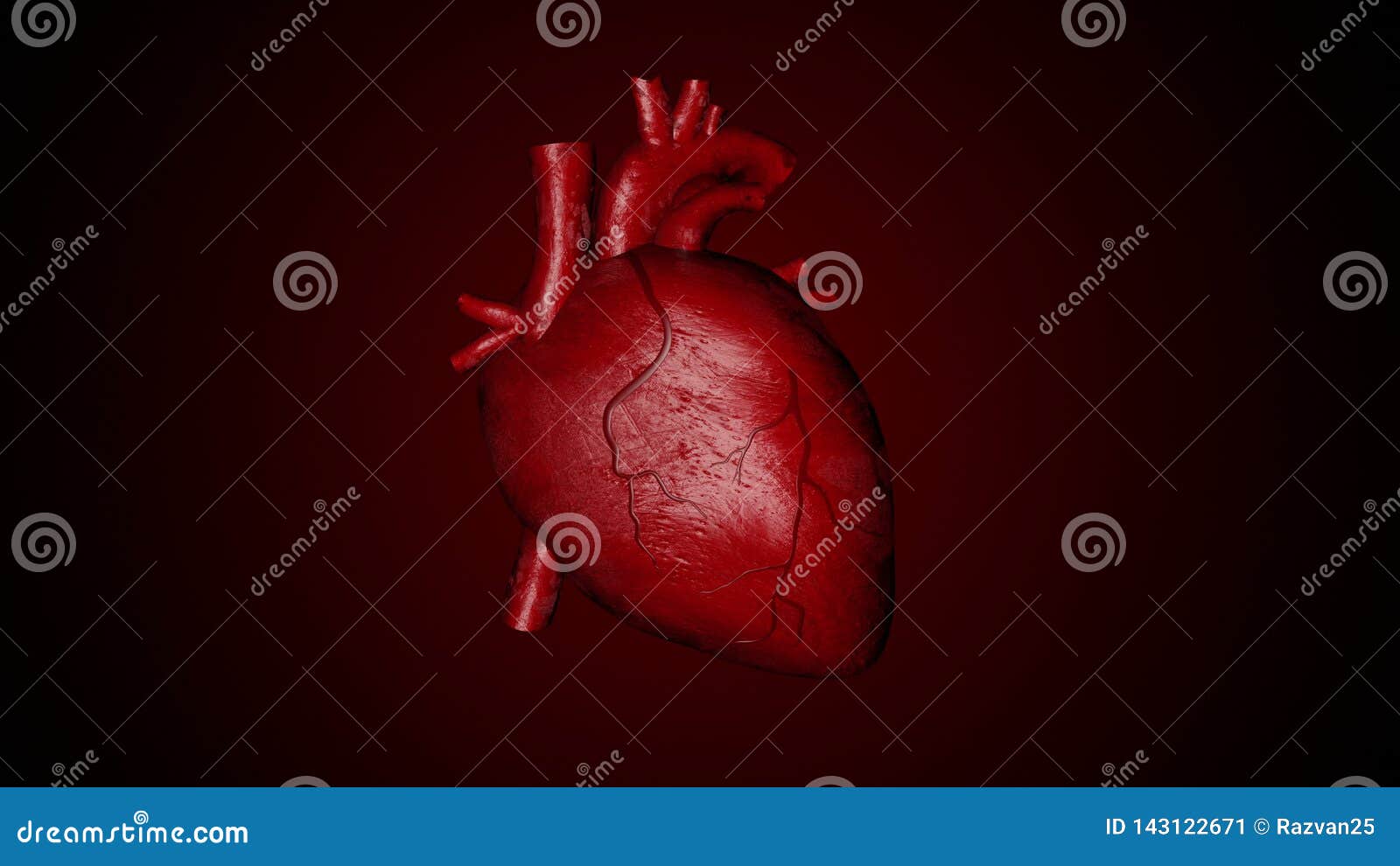 3D Animation of a Beating Human Heart Stock Video - Video of health ...
