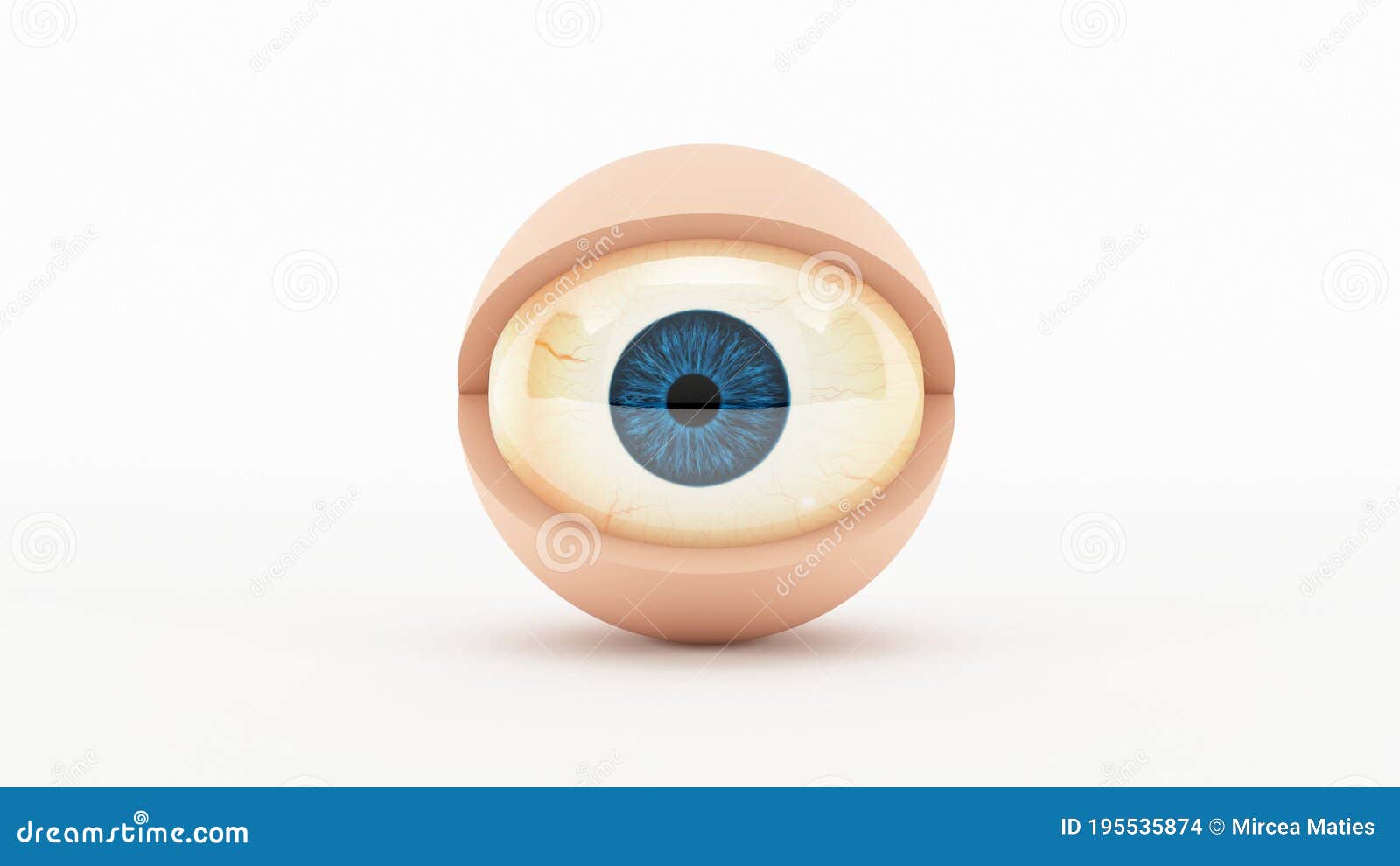 3D Character Eye - Blinking Animation Stock Footage - Video of concept ...