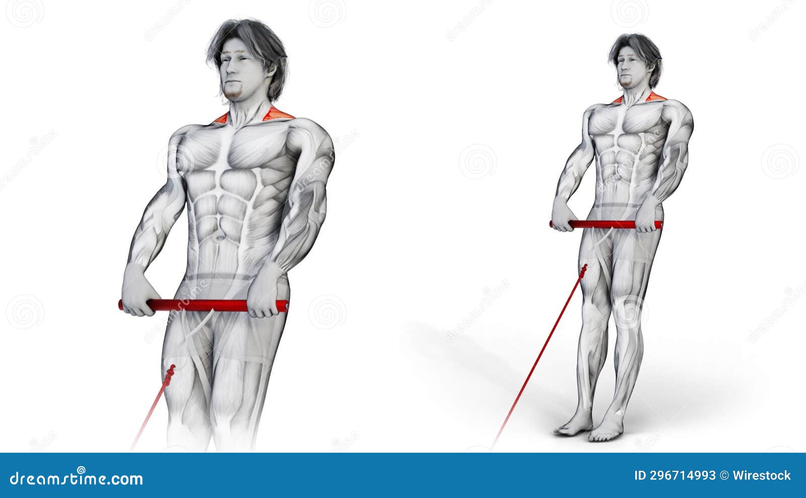 3D Animation of a Character Exercising Raise Front Resistance Bond ...