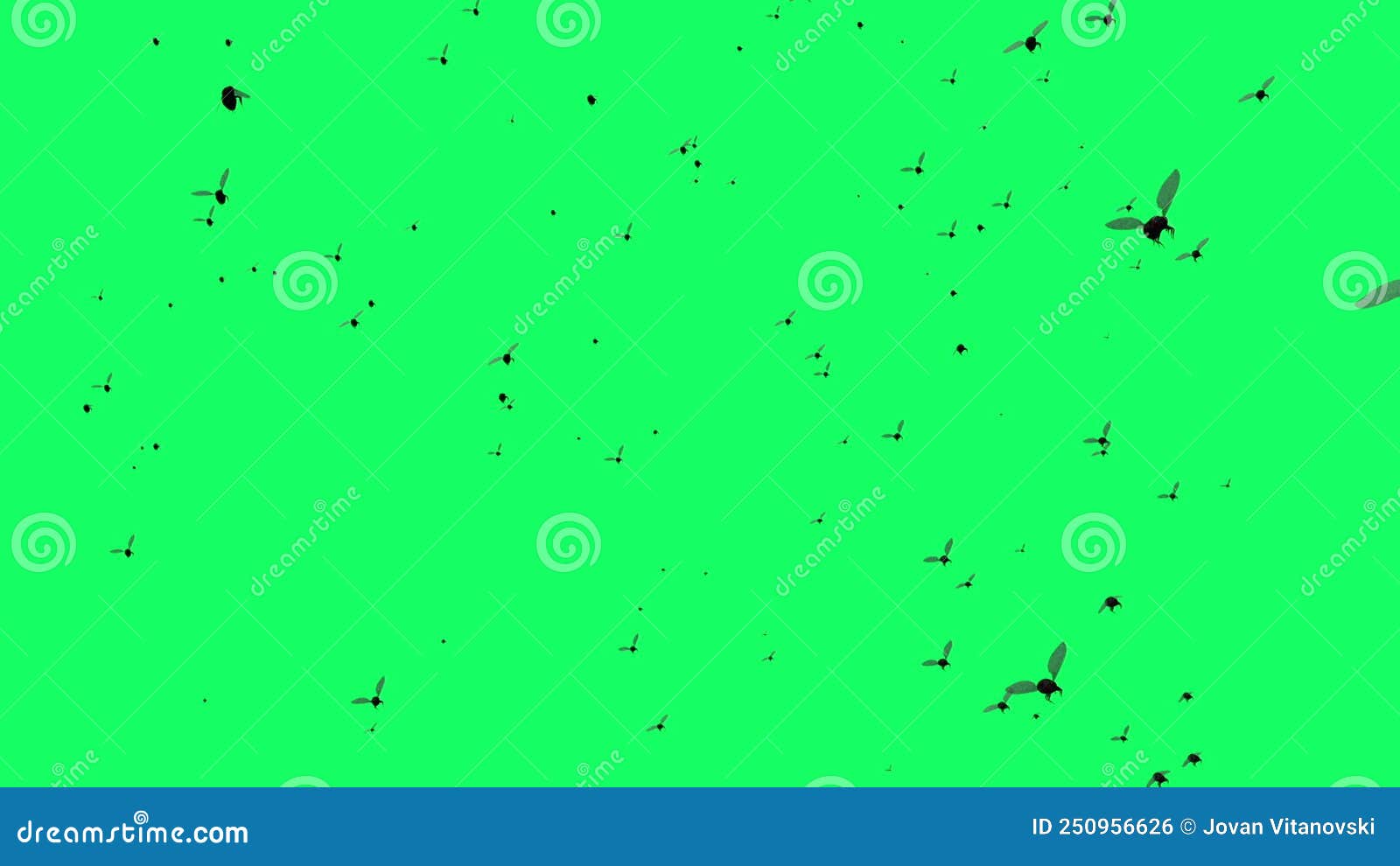 Animation - Flies Fly on Green Screen Stock Footage - Video of computer ...