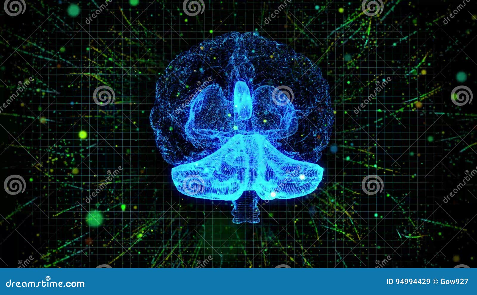 Brain Stem Stock Footage & Videos - 112 Stock Videos