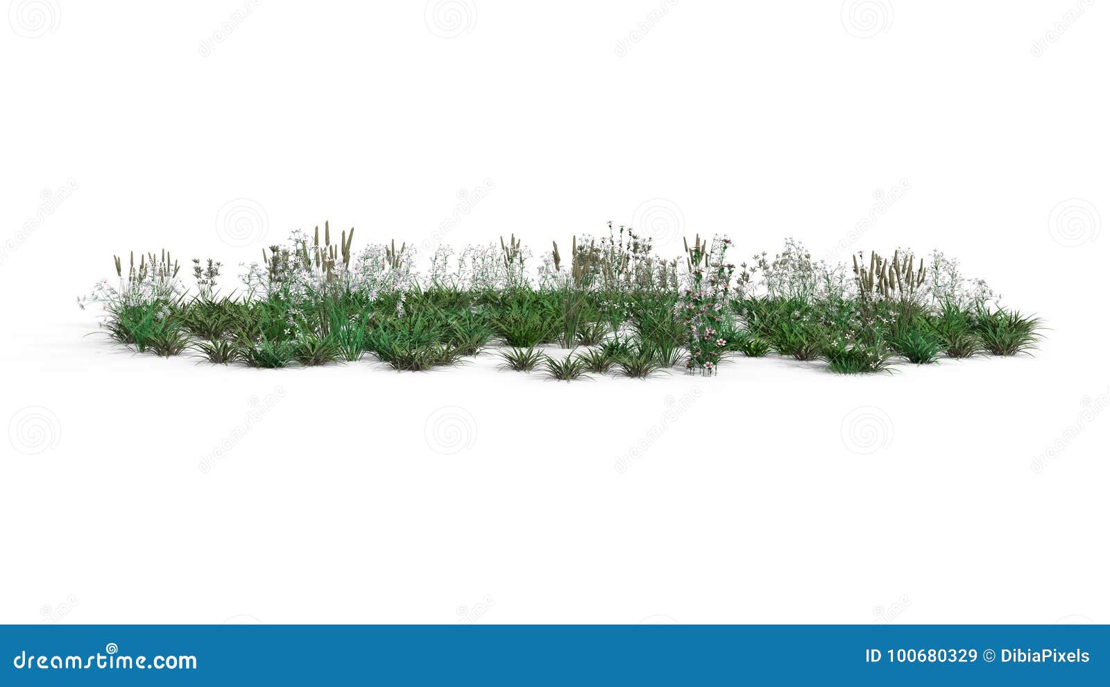 3D Animation of Grasses and Flowers Blowing in the Wind. Stock Video ...