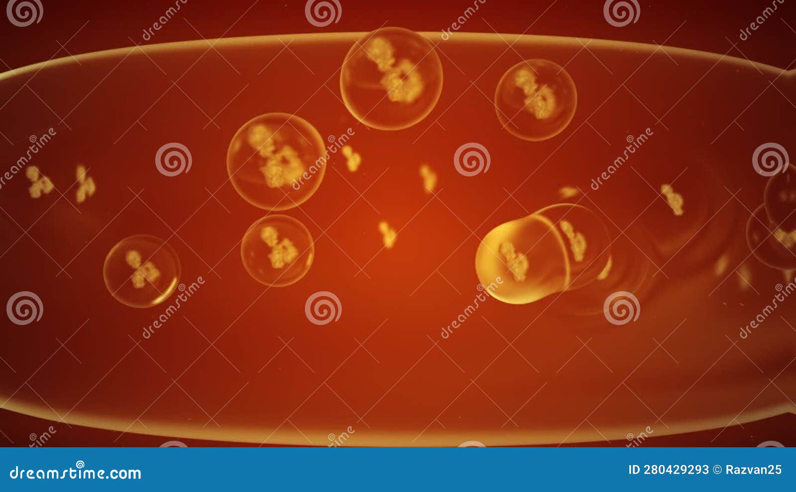 3d Animation of Proteins Transport - Vesicle Budding Stock Video ...