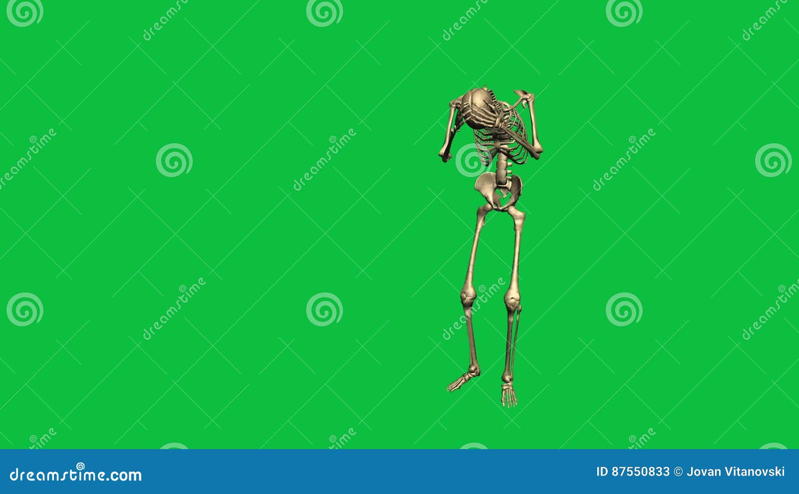 3d Animation of Skeleton Fall Stock Video - Video of render, halloween ...