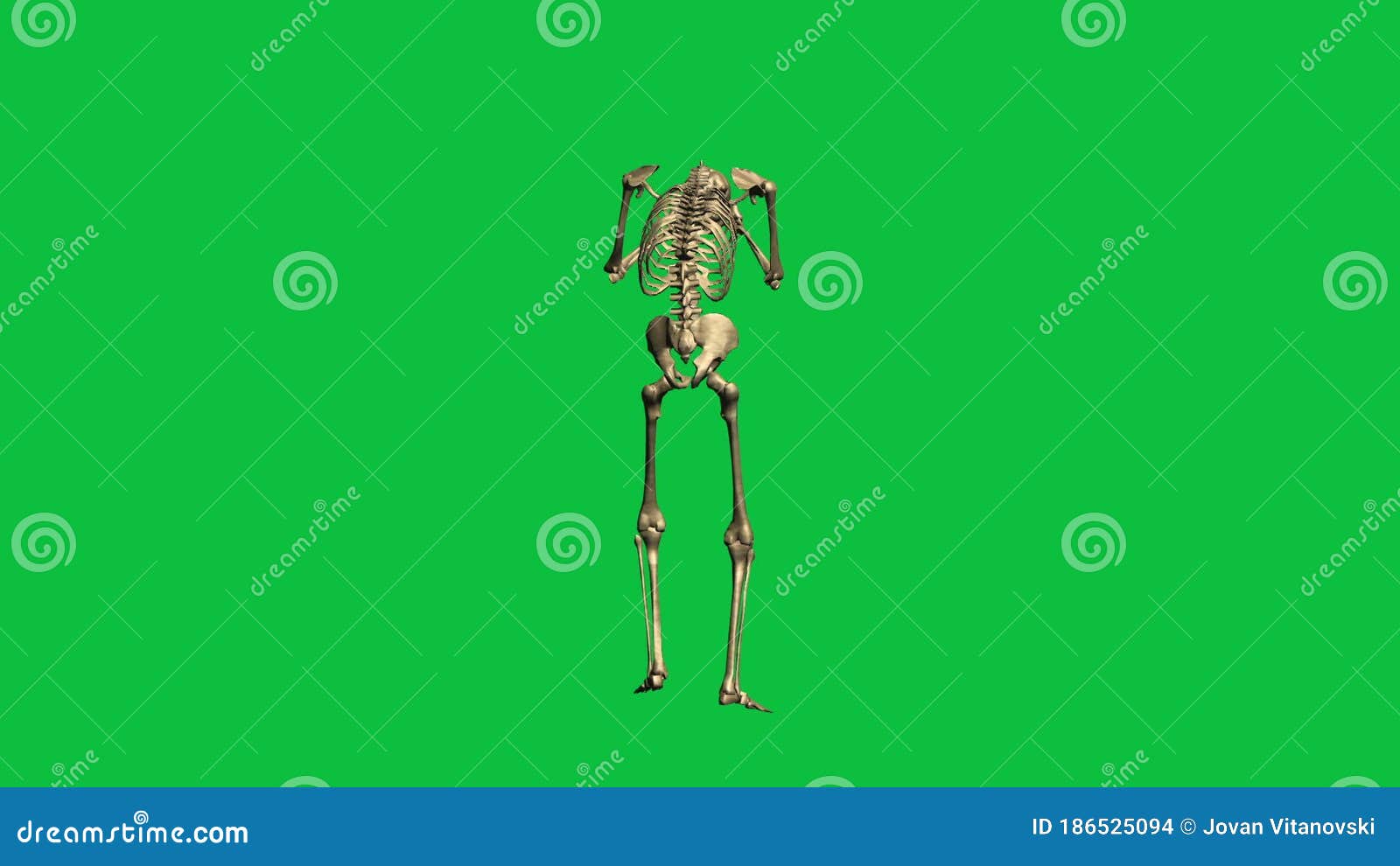 Skeleton Fall - Separate on Green Screen Stock Footage - Video of ...
