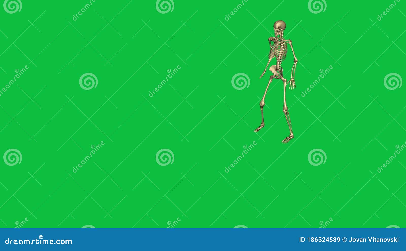 Skeleton Jump Horizontal - Separate on Green Screen Stock Video - Video ...