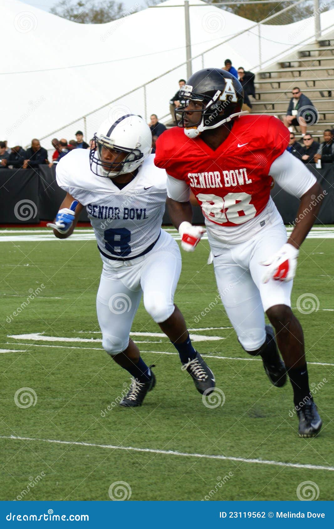 D Anton Lynn and Brian Quick Editorial Photography - Image of team ...