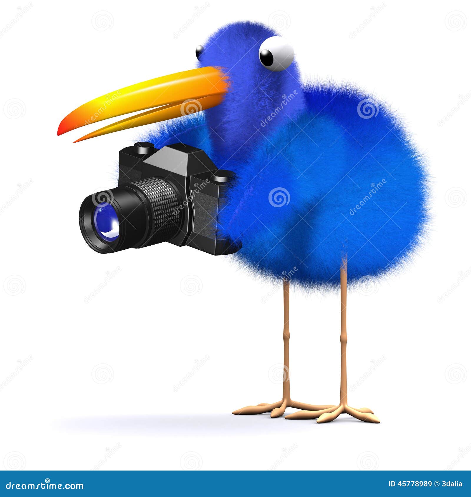 3d Blue bird with a camera stock illustration. Illustration of chirp ...
