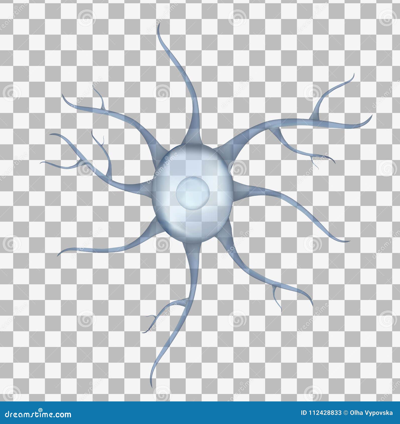 3d Blue Human Neuron Isolated on Transparent Background. Realistic ... 3d Blue Human Neuron Isolated on Transparent Background. Realistic ...