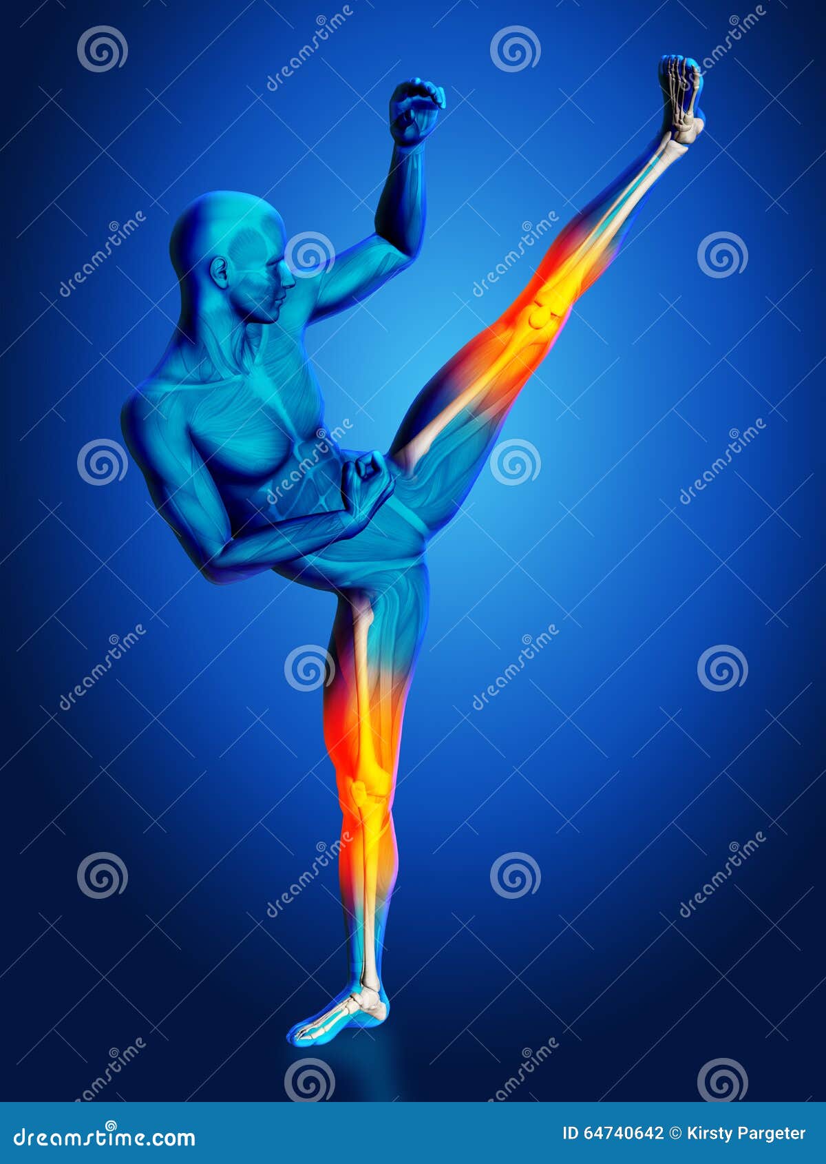 3D Blue Medical Figure in Kick Boxing Pose Stock Illustration ...