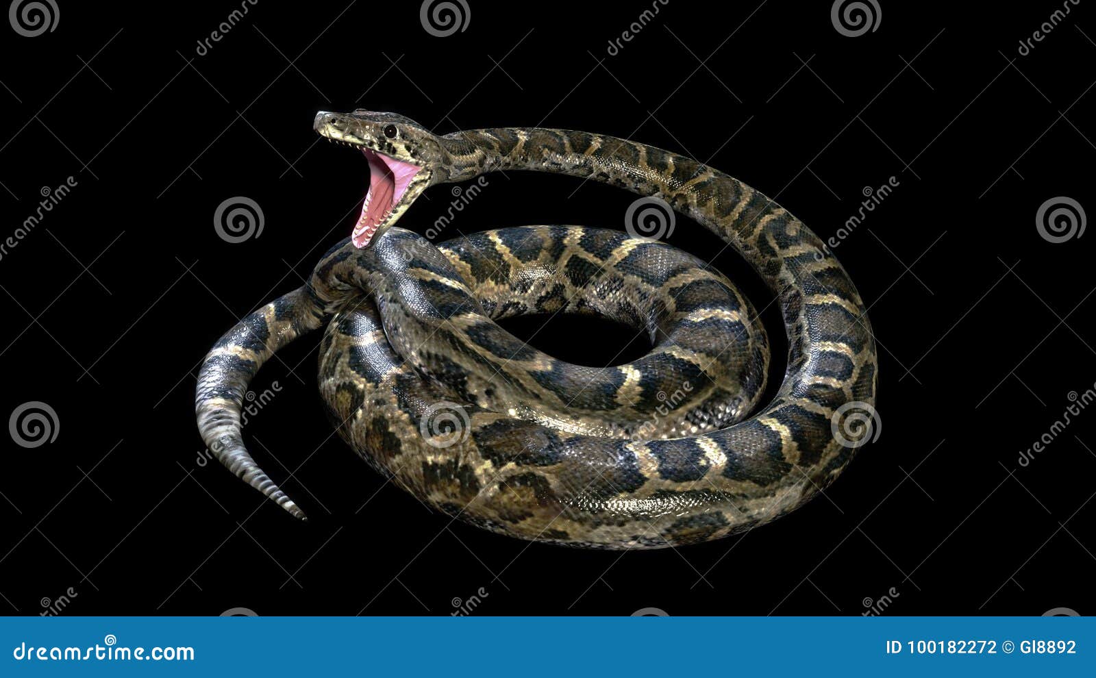 3d Boa Constrictor stock illustration. Illustration of biology - 100182272