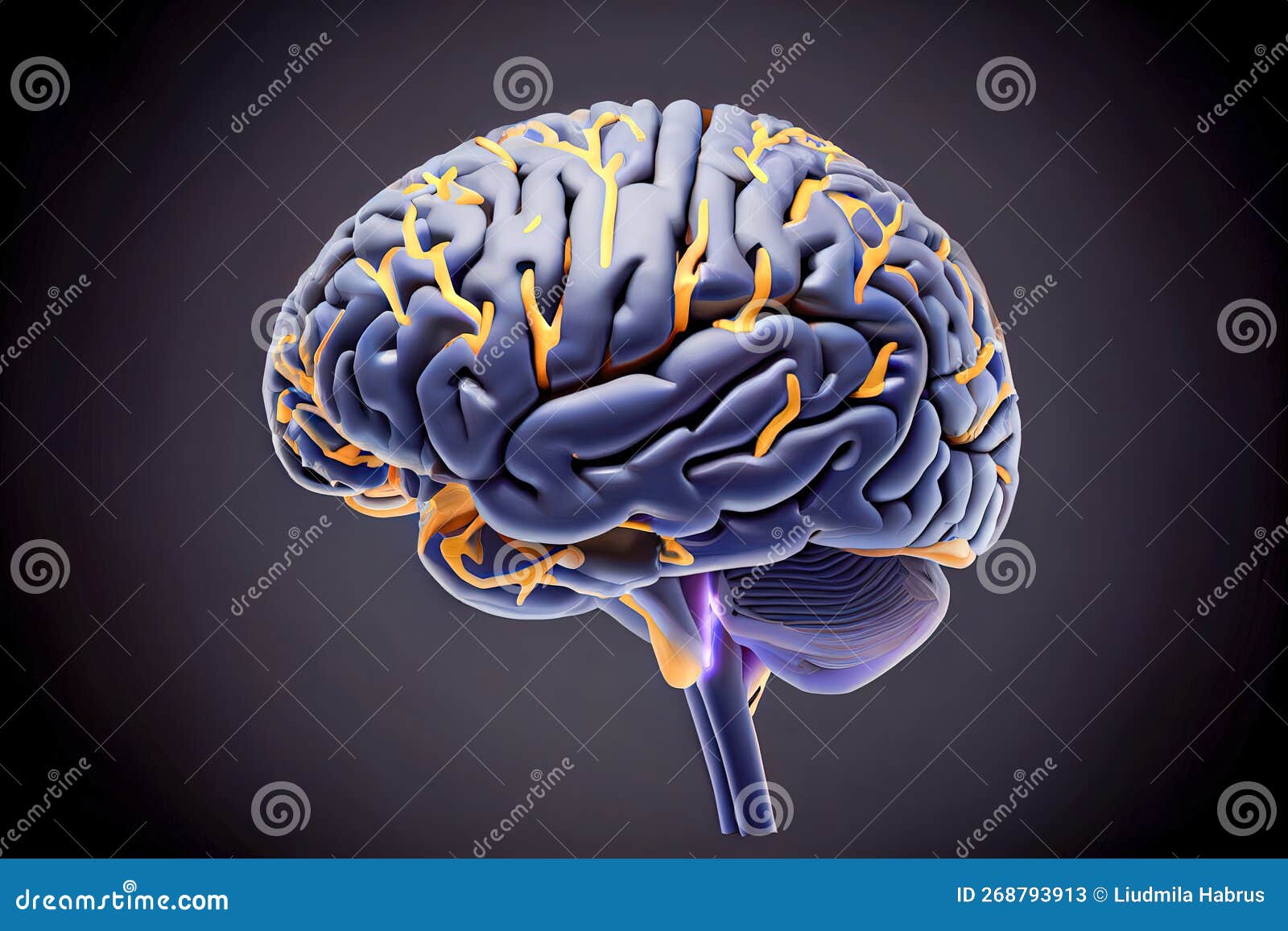 Map Neuronal Connections: Revealing Patterns And New Neurons. Royalty ...