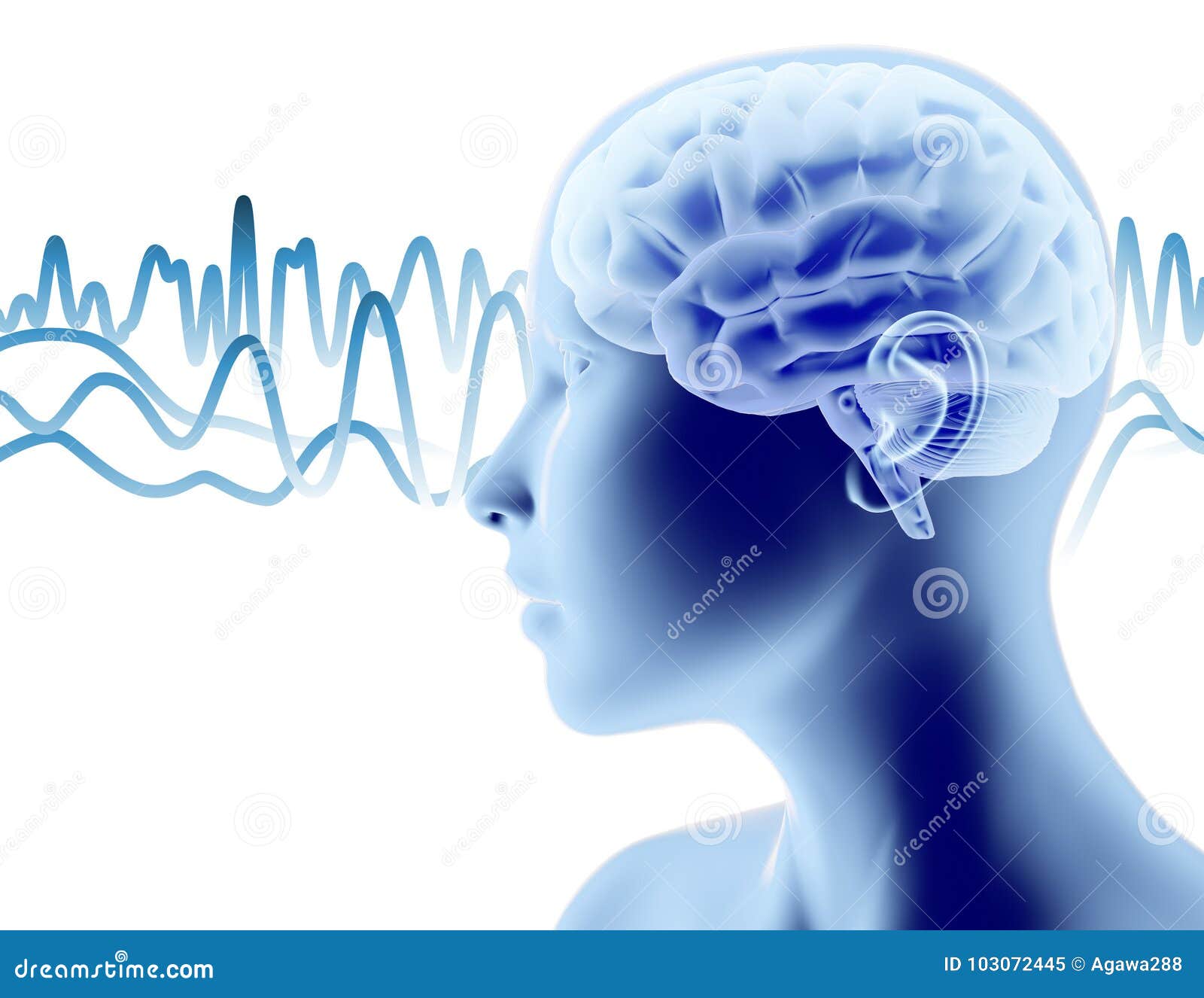 3D Brain and Face Profile with Brain Waves, Thinking Process 3D ...