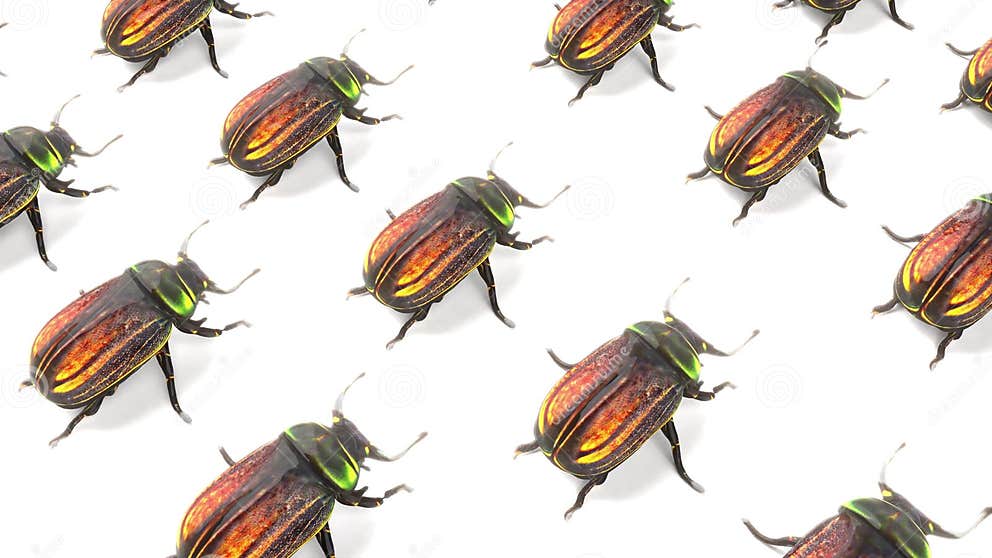3D Bug Pattern Simply Animation for White Bg 3d Stock Illustration ...