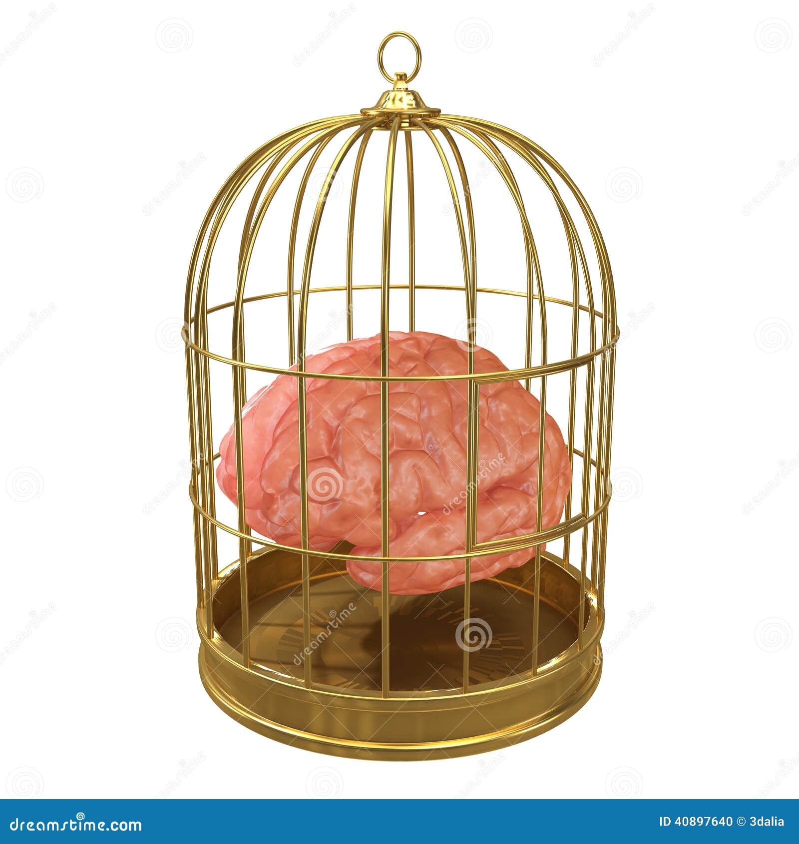 Caged Brain Inside Head. Moving Gears Inside The Head. Mental Activity ...