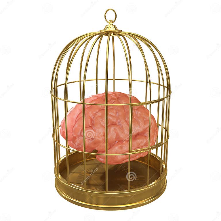 3d Caged brain stock illustration. Illustration of brain - 40897640