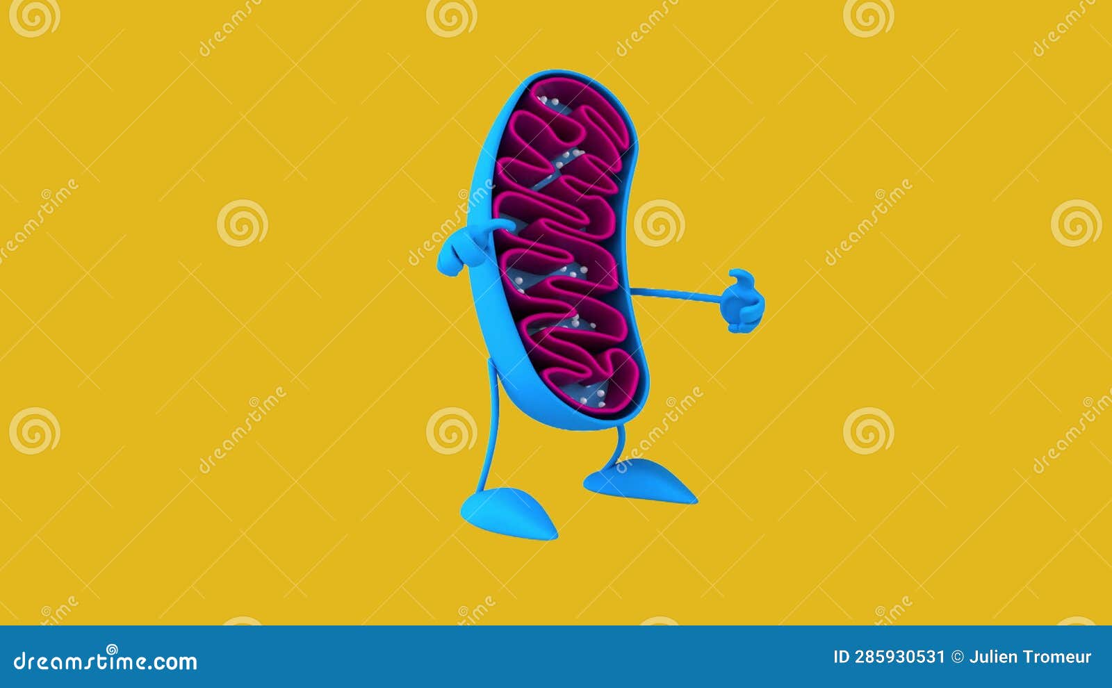 3D Cartoon Mitochondria (with Alpha Channel Included Stock Video ...
