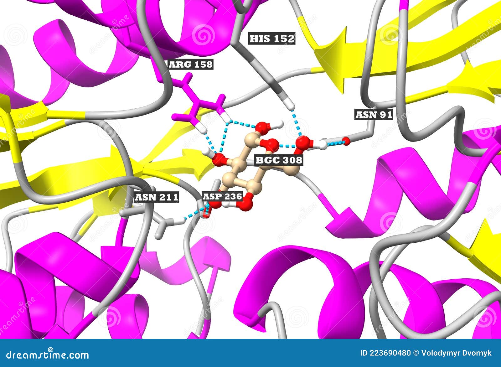 Close Up Enzyme-linked Immunosorbent Assay (ELISA) Kits Removeable ...