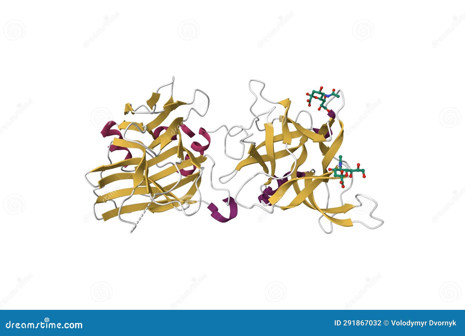 Structure of Botulinum Neurotoxin Type C Stock Illustration ...