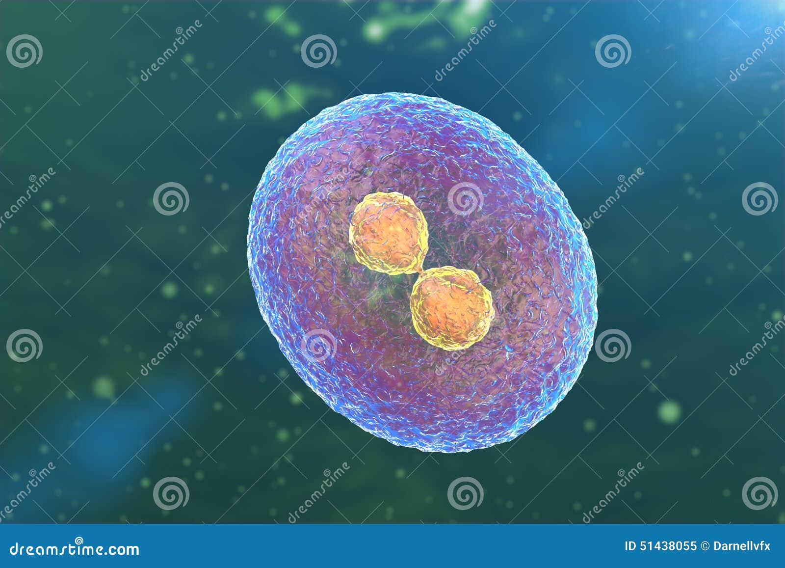 3D Cell Division stock illustration. Illustration of epidemic - 51438055