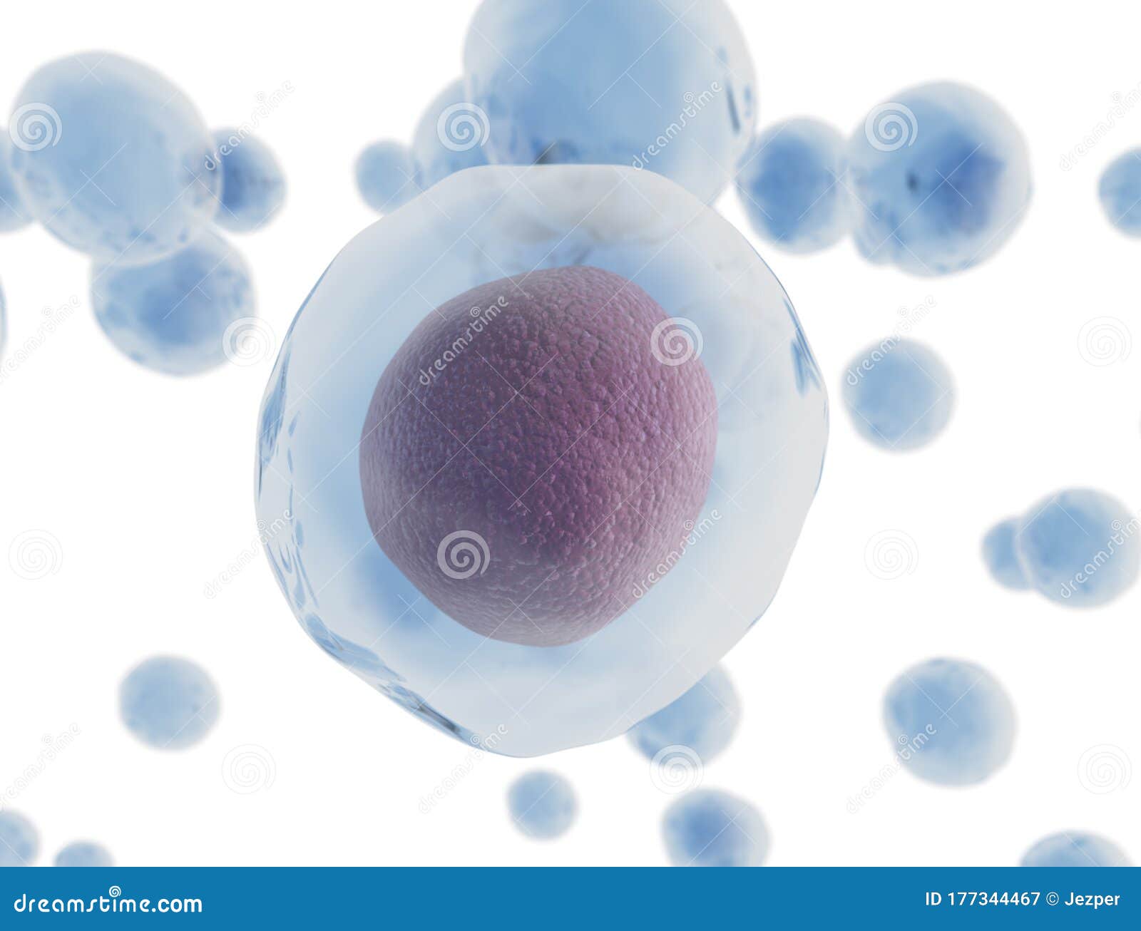 3D Cells on White Background Stock Illustration - Illustration of ...
