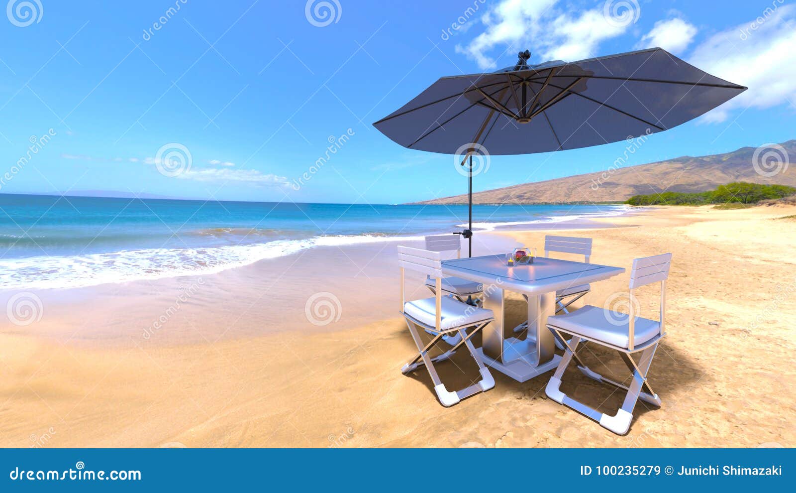Beach stock image. Image of resort, summer, rendering - 100235279