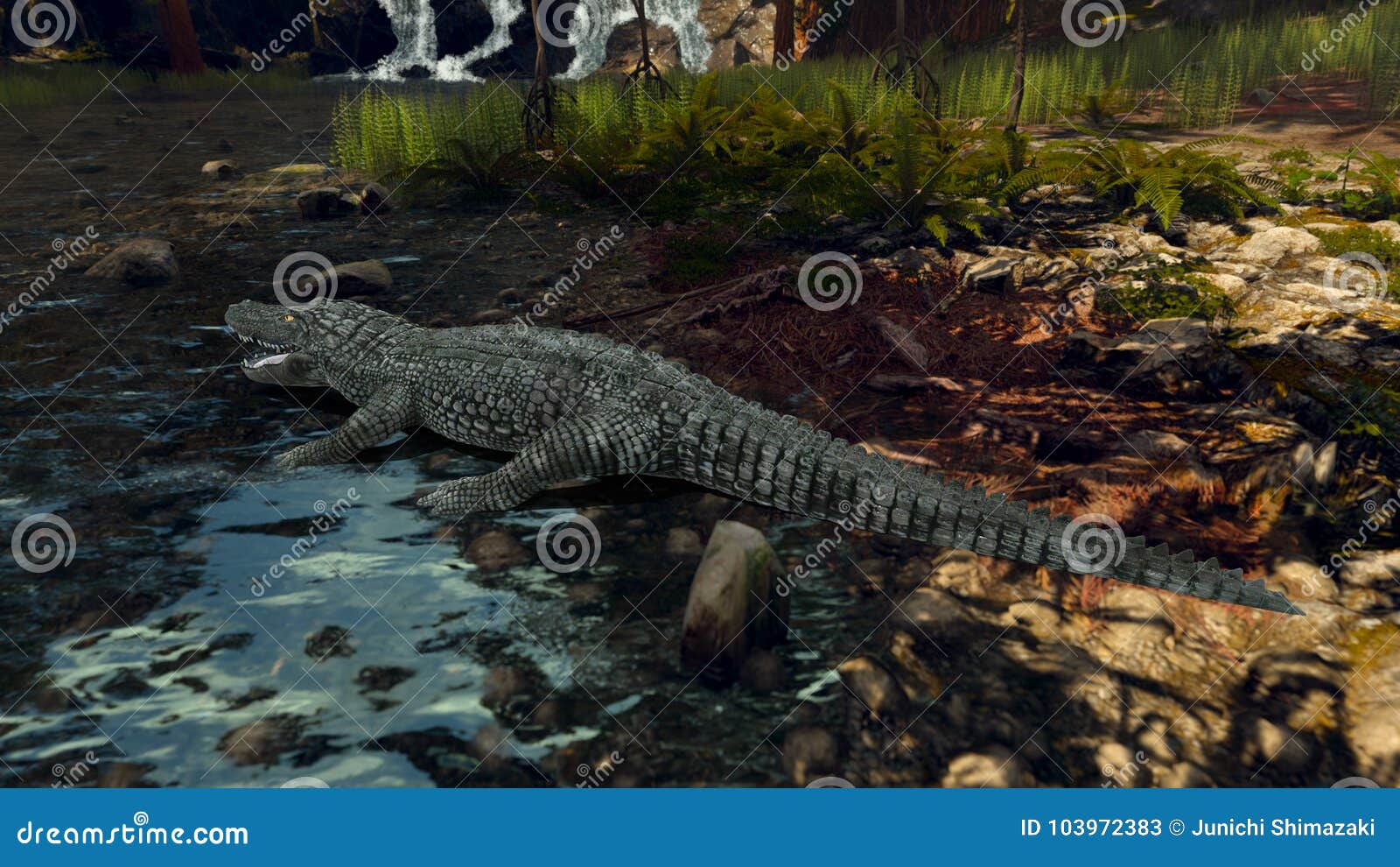 Crocodile stock image. Image of ecosystem, landscape - 103972383