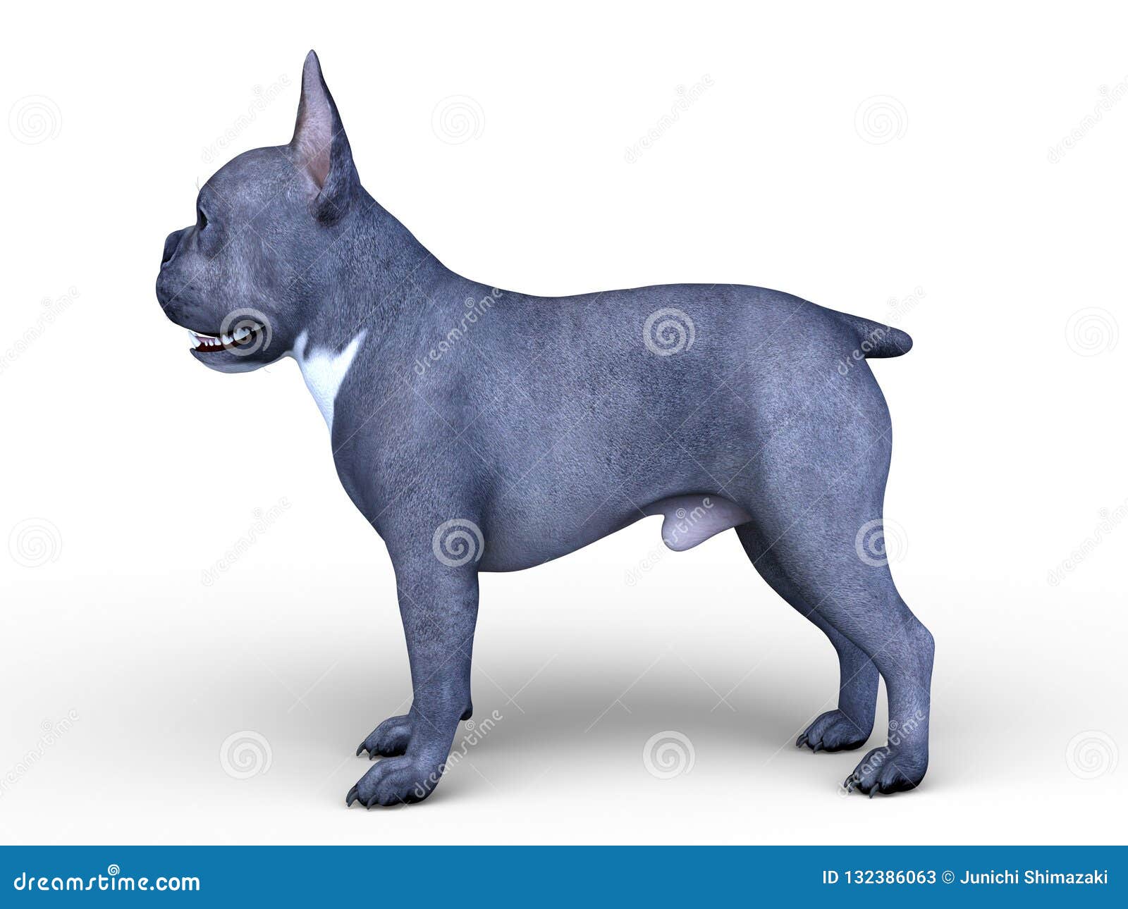 3D CG rendering of dog stock illustration. Illustration of cute - 132386063