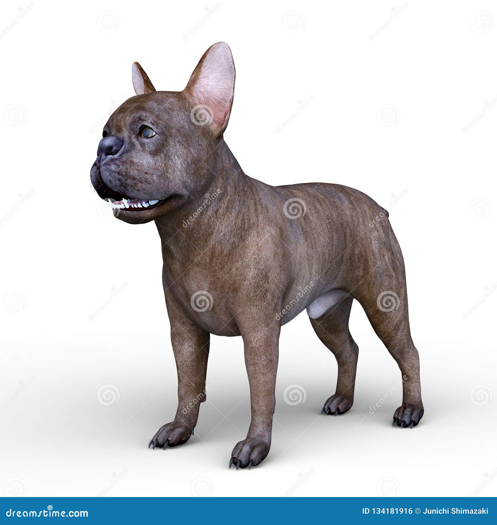 3D CG rendering of dog stock illustration. Illustration of animals ...