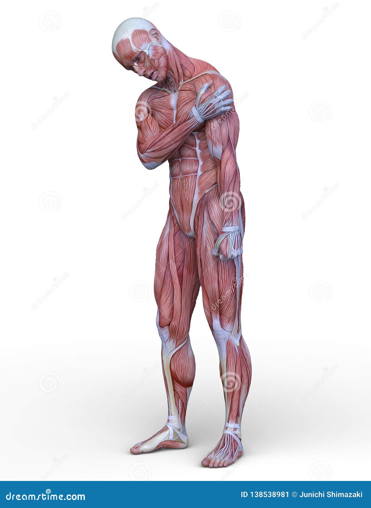 3D CG Rendering of Muscle Man Stock Illustration - Illustration of ...