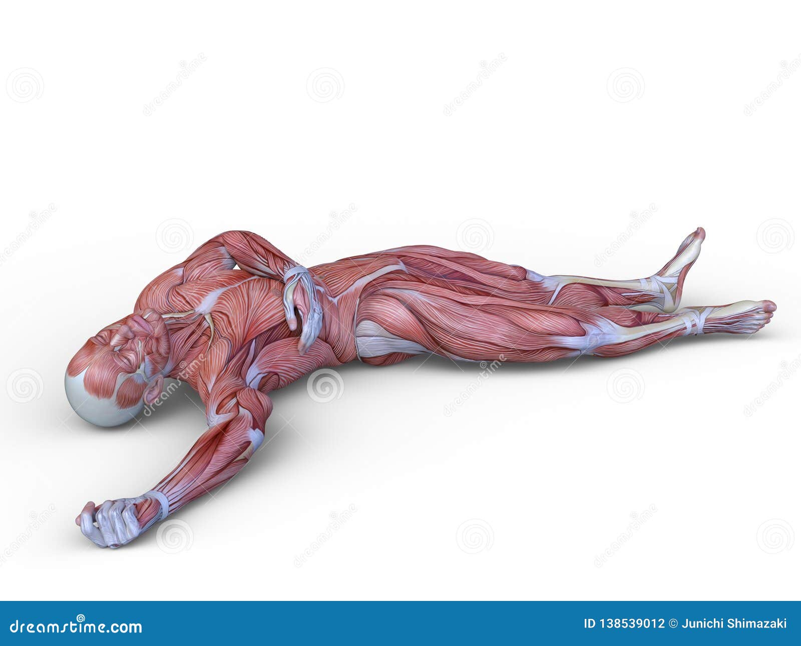 3D CG Rendering of Muscle Man Stock Illustration - Illustration of male ...