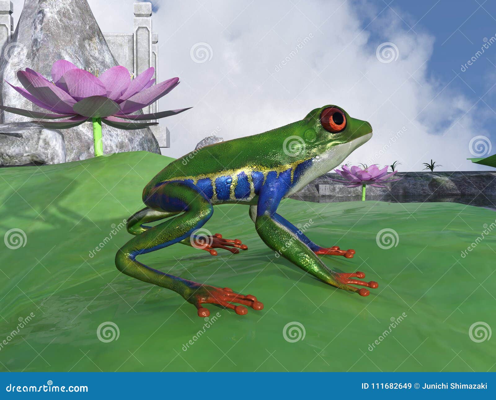 Parachute frog stock illustration. Illustration of animals - 111682649