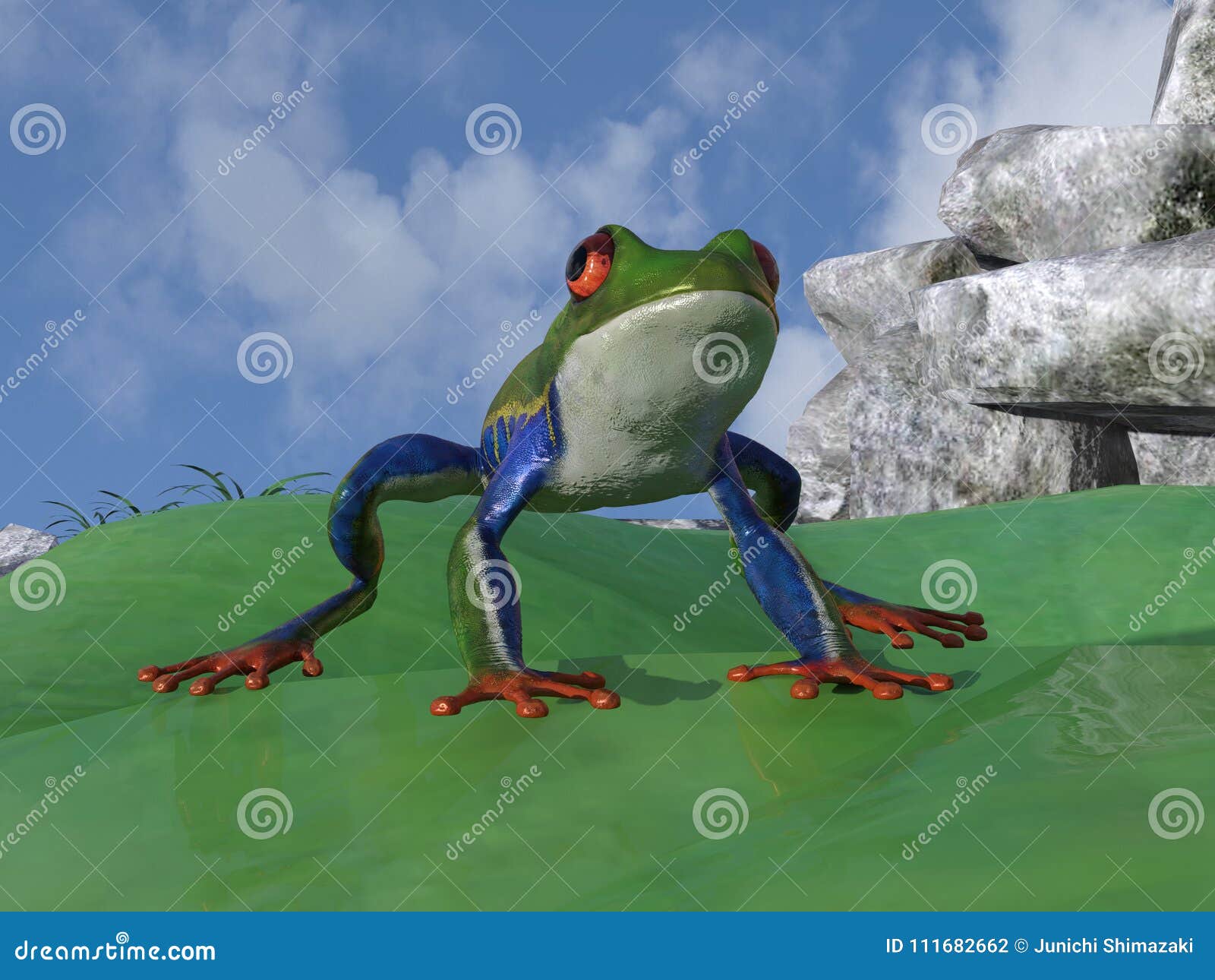 Parachute frog stock illustration. Illustration of animals - 111682662