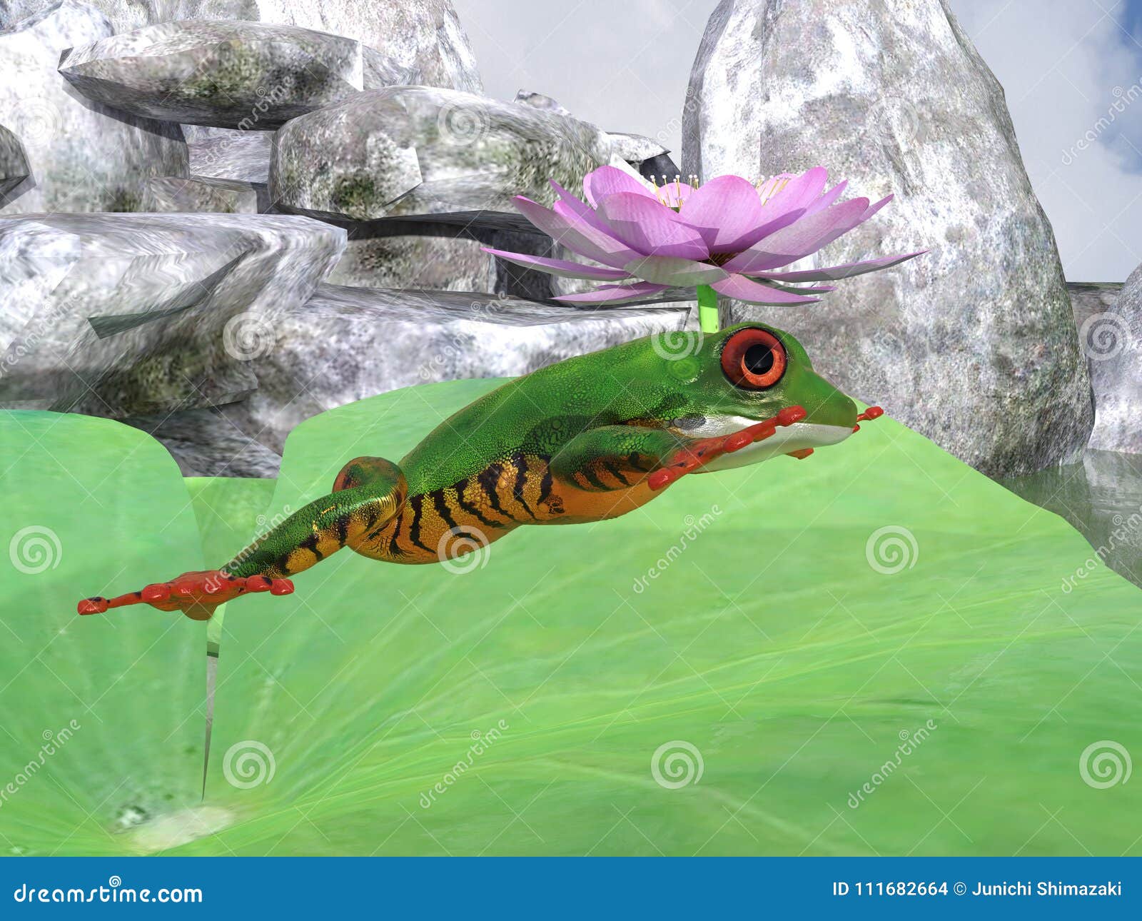 Parachute frog stock illustration. Illustration of creatures - 111682664