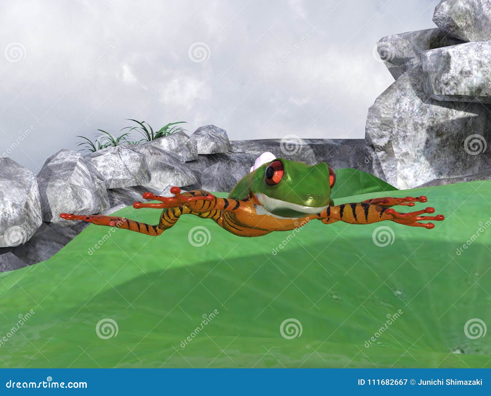 Parachute frog stock illustration. Illustration of creatures - 111682667