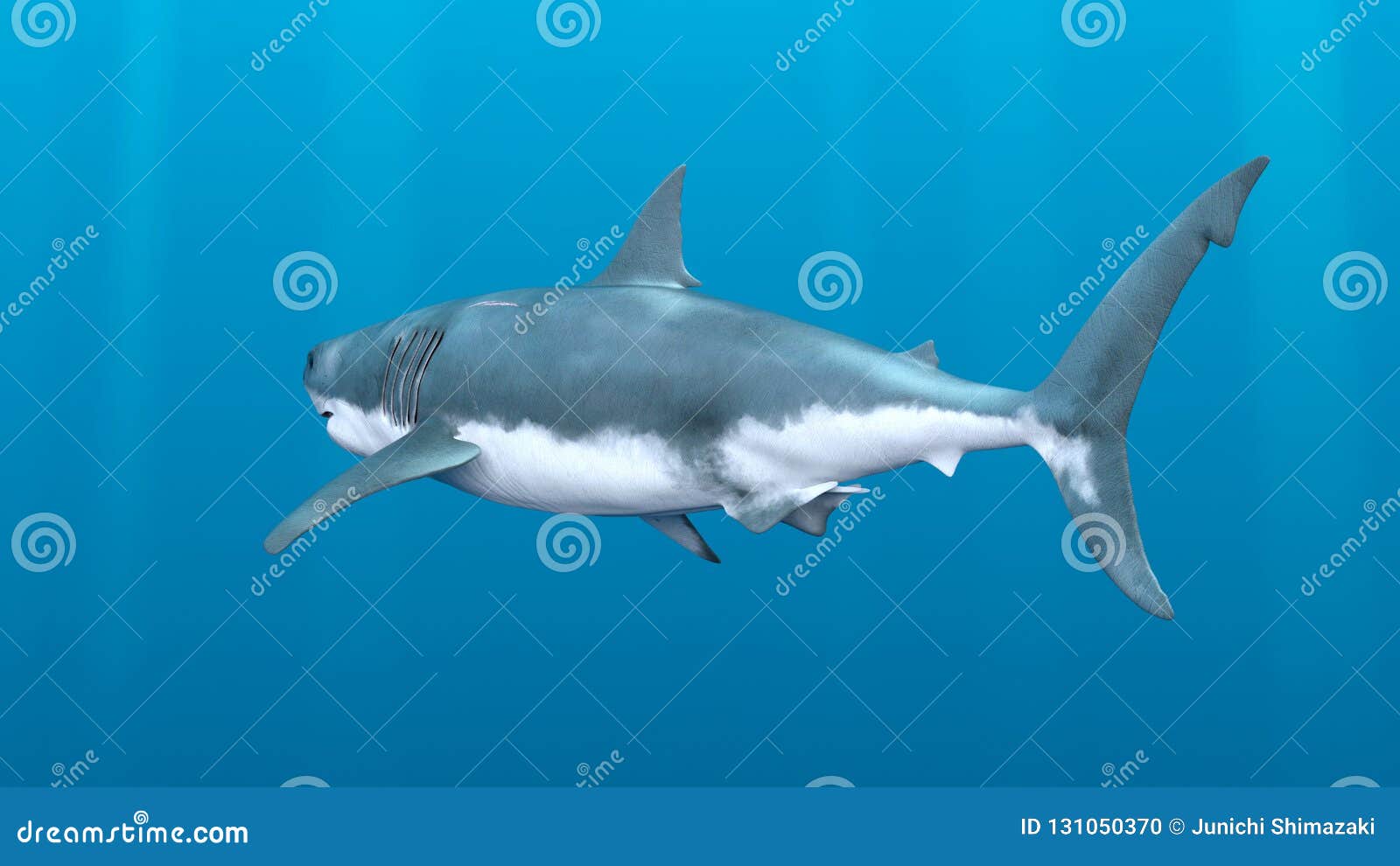 3D CG rendering of shark stock illustration. Illustration of underwater ...
