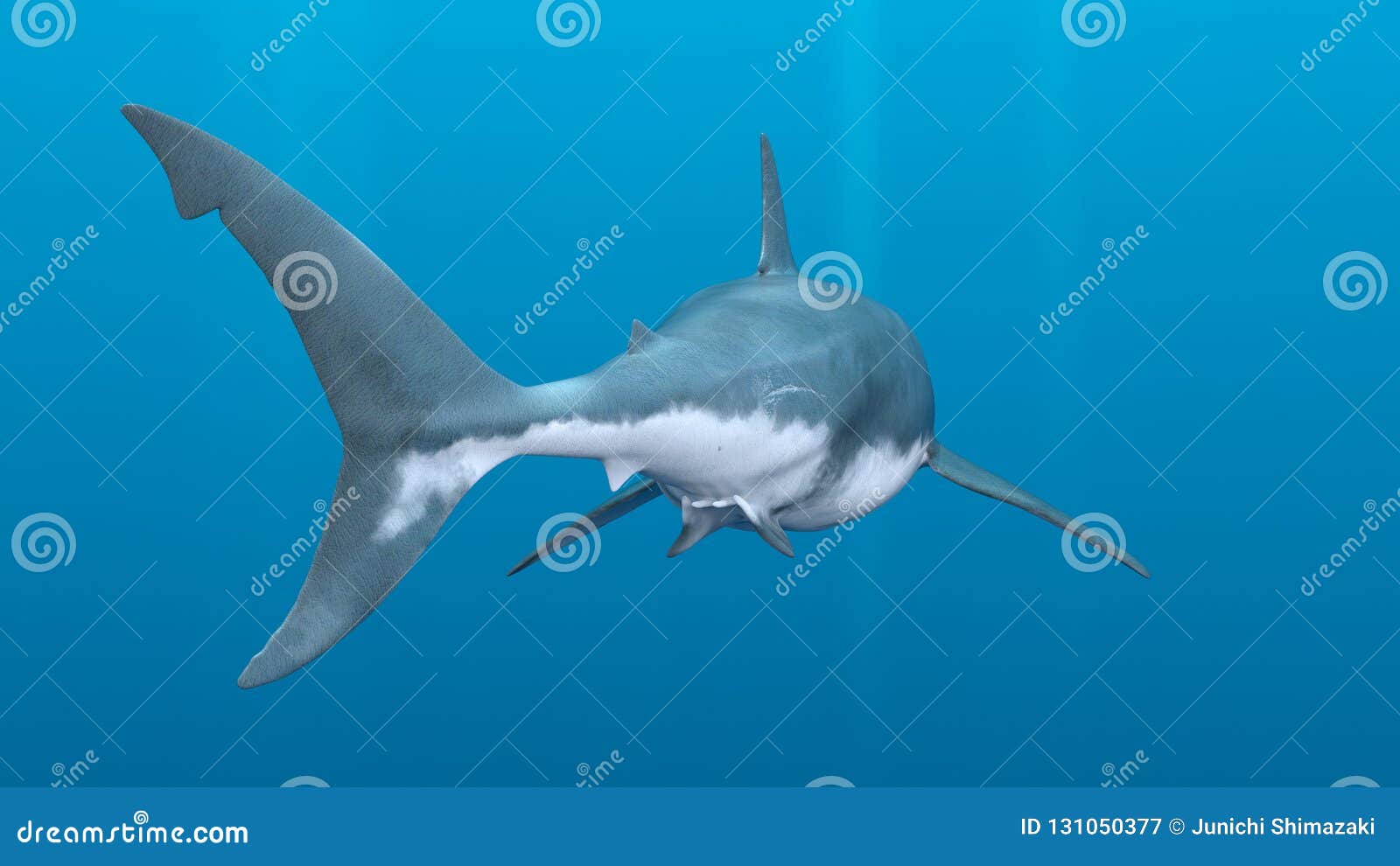 3D CG rendering of shark stock illustration. Illustration of marine ...
