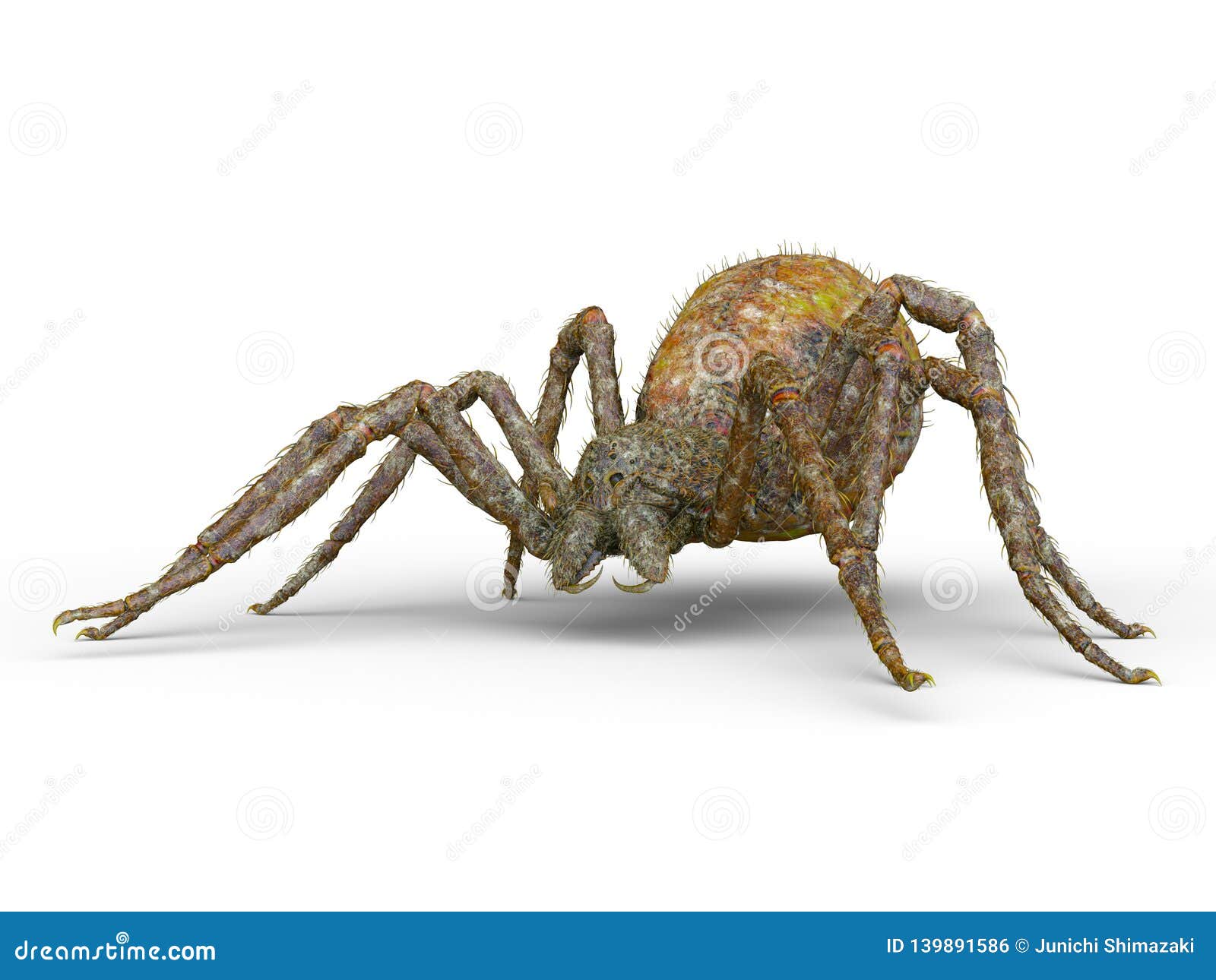 3D CG rendering of spider stock illustration. Illustration of ...