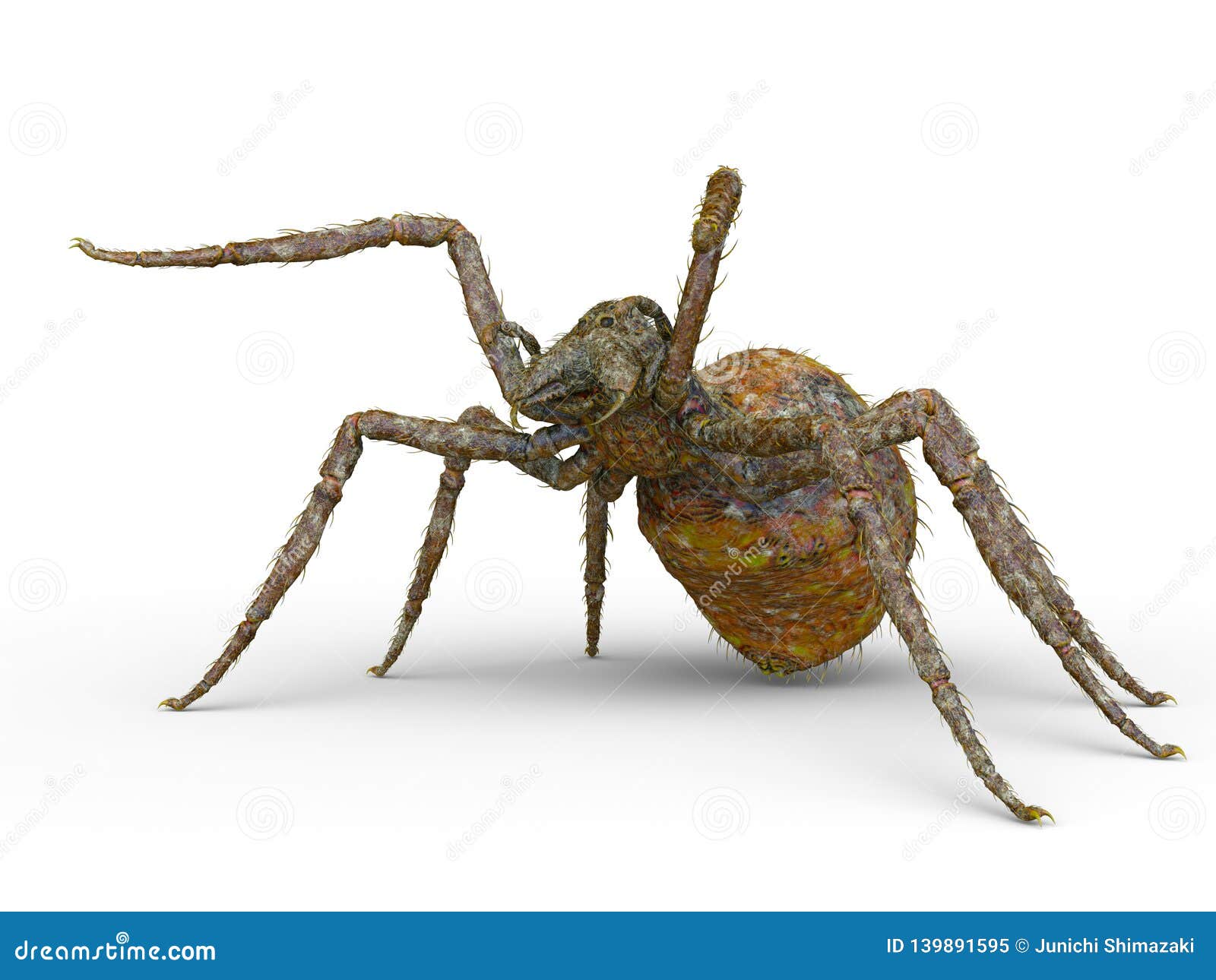 3D CG rendering of spider stock illustration. Illustration of ...