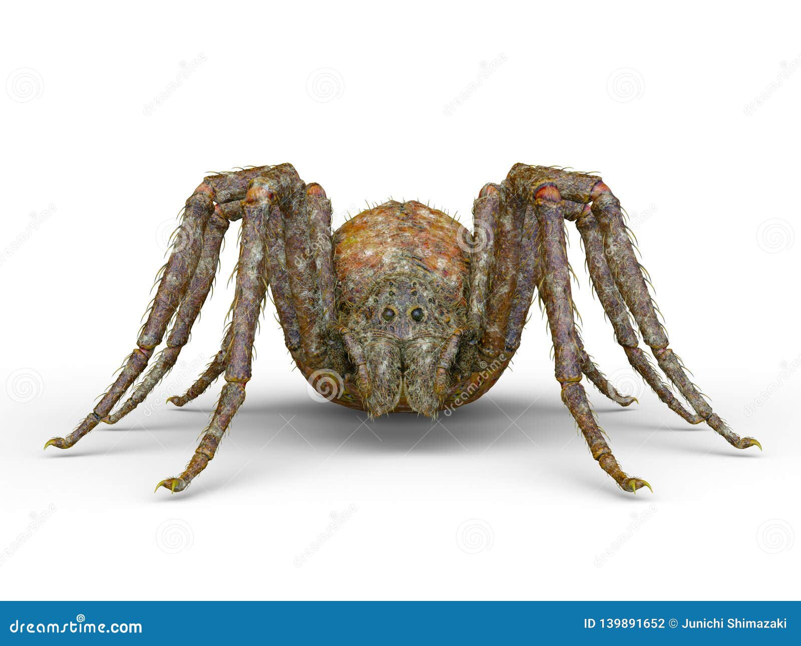 3D CG rendering of spider stock illustration. Illustration of insect ...