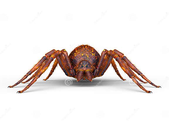 3D CG rendering of spider stock illustration. Illustration of rendering ...