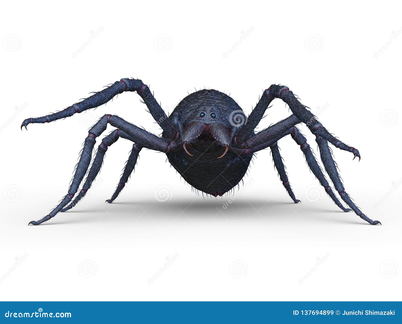 3D CG rendering of spider stock illustration. Illustration of poisons ...