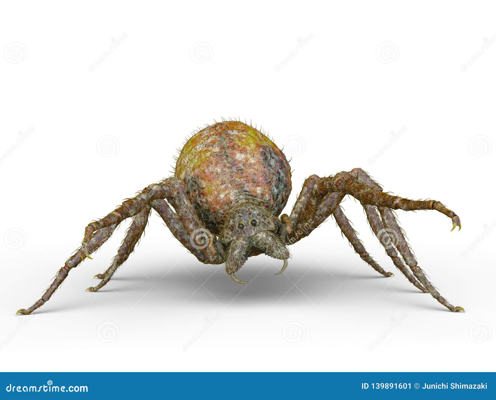 3D CG rendering of spider stock illustration. Illustration of spider ...