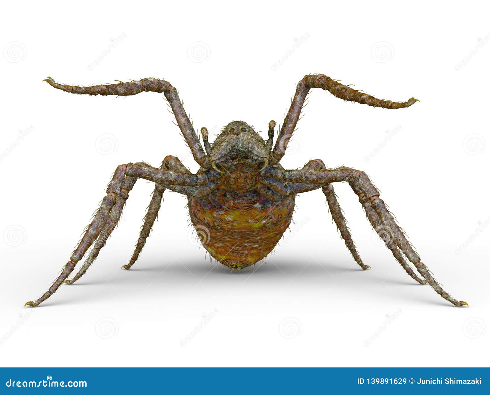 3D CG rendering of spider stock illustration. Illustration of ...