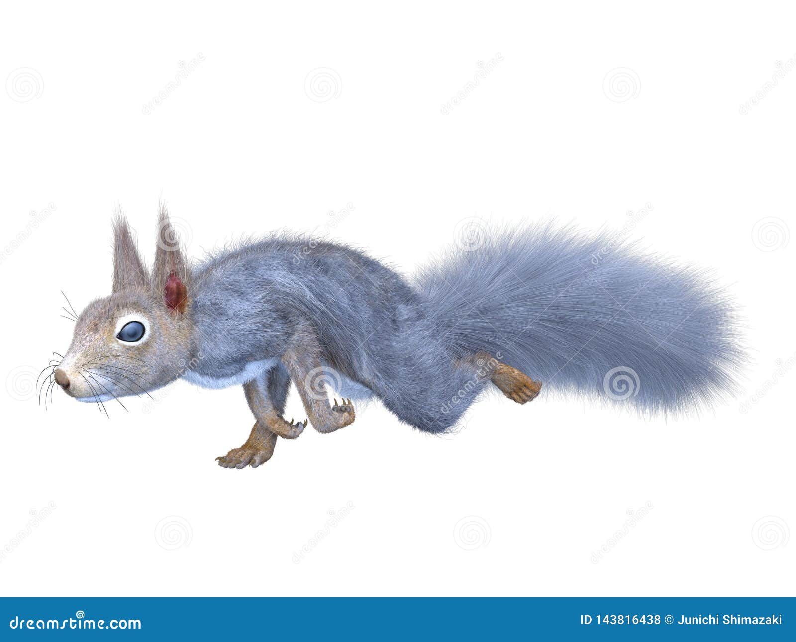 3D CG Rendering of Squirrel Stock Illustration - Illustration of ...