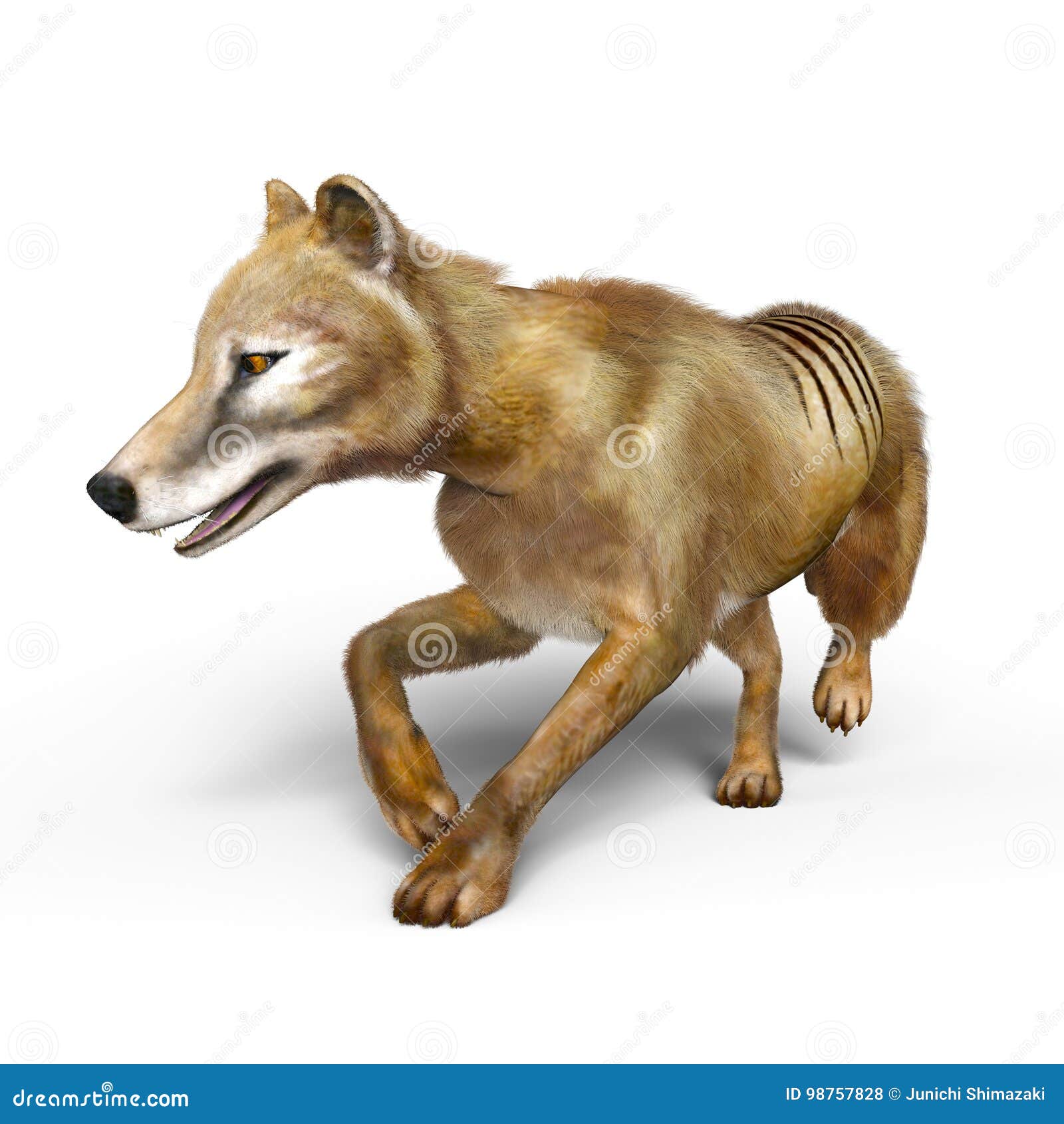 Wolves Extinction Concept, Spirit Of Dying Wolf Due The Forest ...