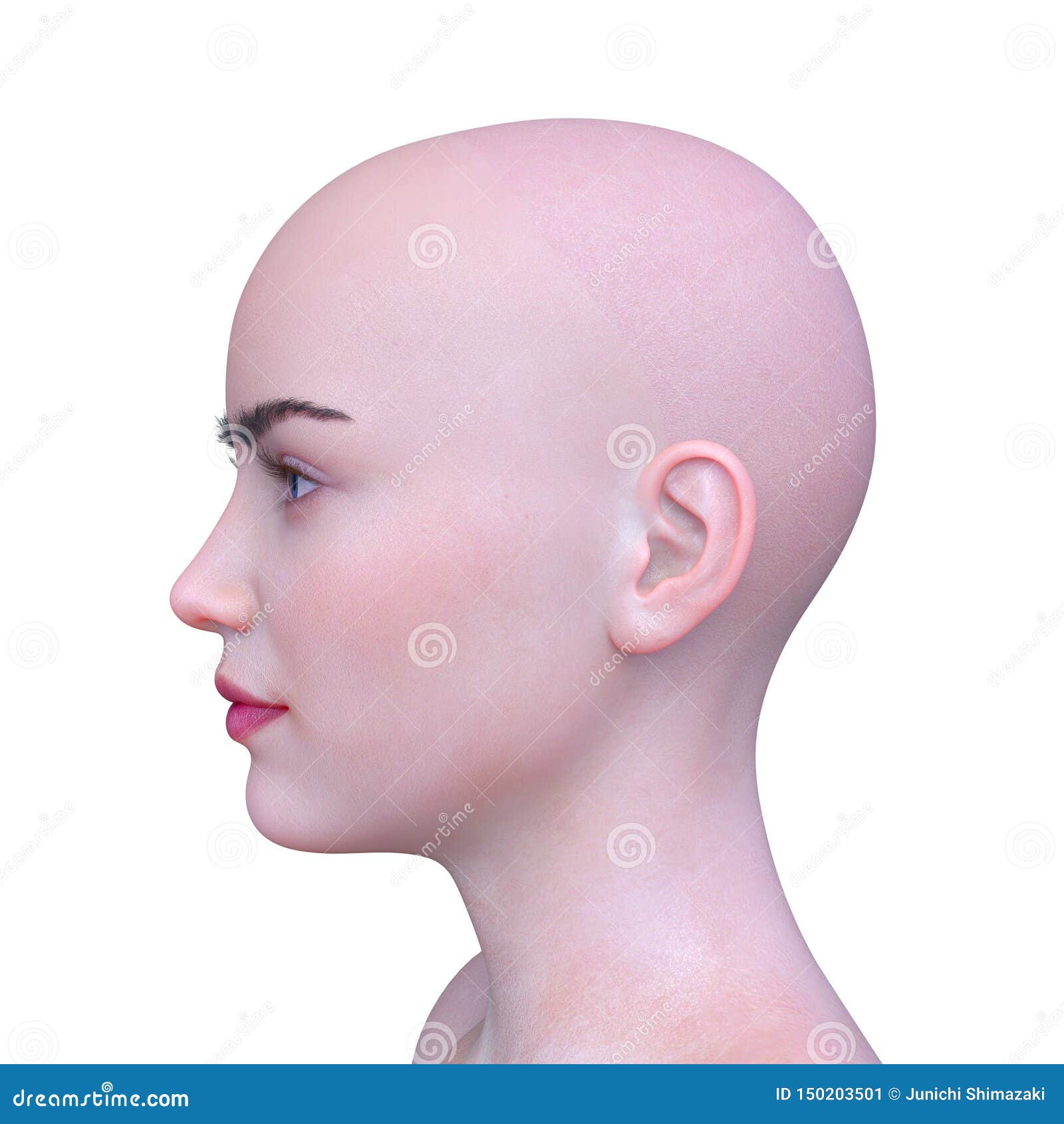 3D CG Rendering of Woman`s Face Stock Illustration - Illustration of ...